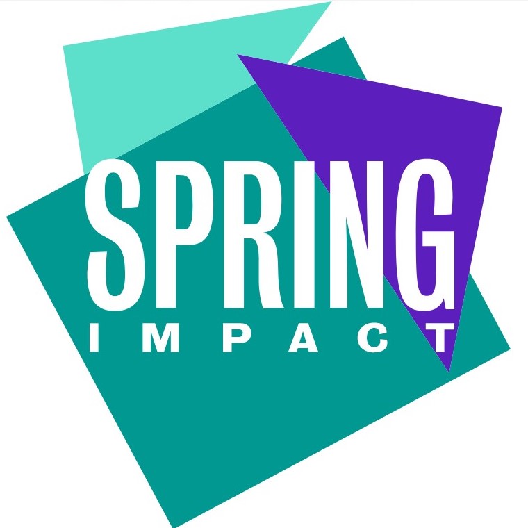 Minna Marfo, Spring Impact | NFP Consulting
